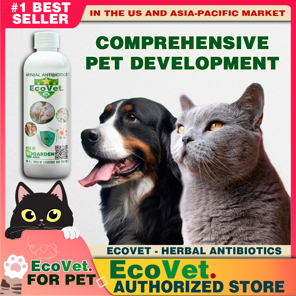 Ecovet Pet Food Supplement Powder - Enhances Nutrient Absorption ...