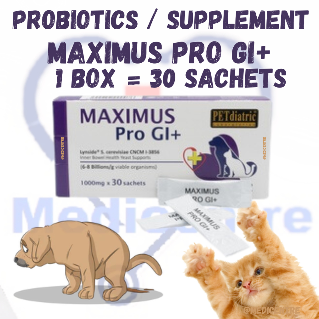 PETdiatric Maximus Pro GI+ 30 Sachets PROBIOTICS FOR CAT DOG DIARRHEA ...