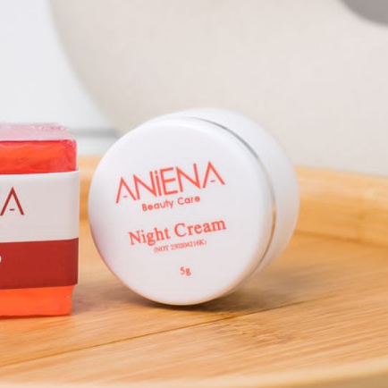 ANIENA BEAUTY SET 3 IN 1 & SERUM - MALAM ( NIGHT CREAM ) SIANG ( DAY ...