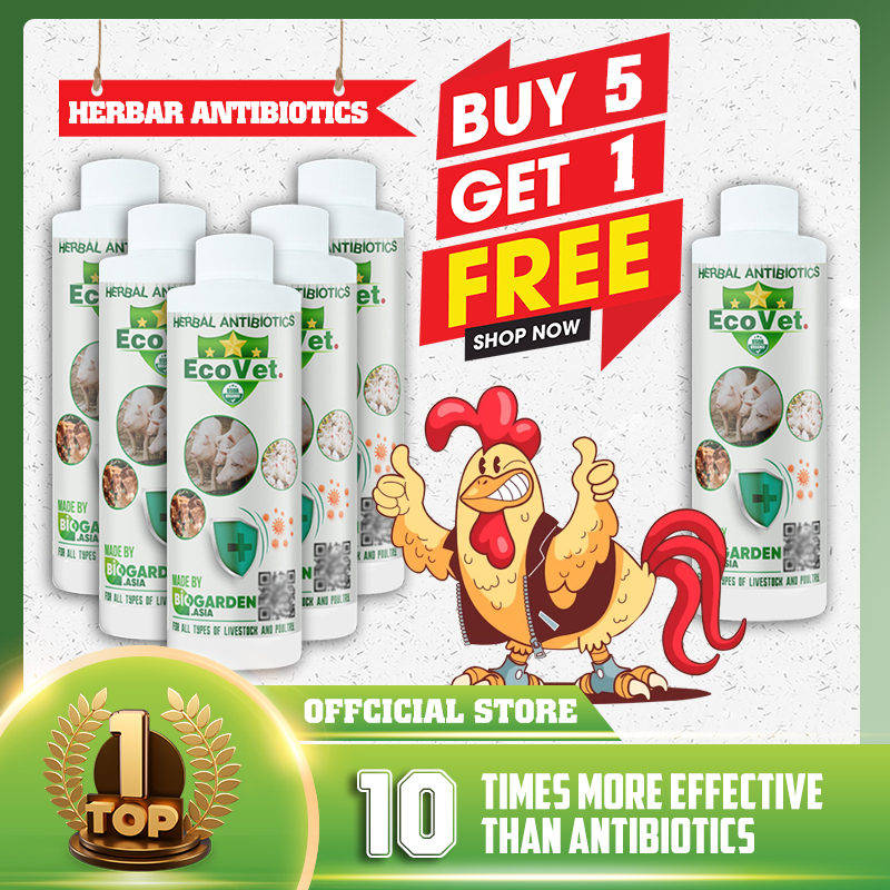 HOT [COMBO BUY 5 GET 1 FREE] Ecovet - Probiotic Supplement Powder ...