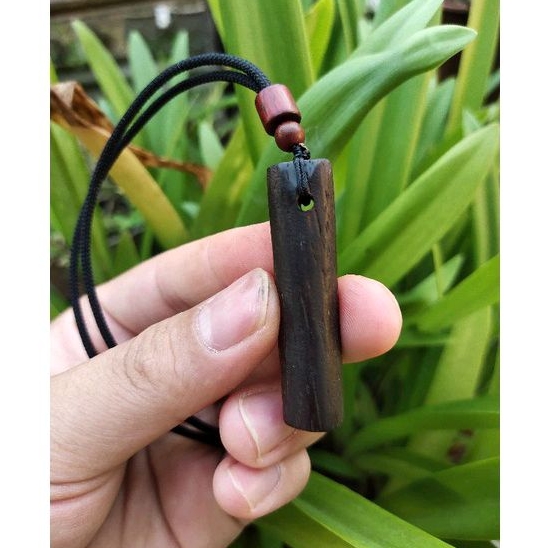 【Teras Gemunggal Hutan】Teras Kelor Hutan || 100% Asli (Rantai) | Shopee ...