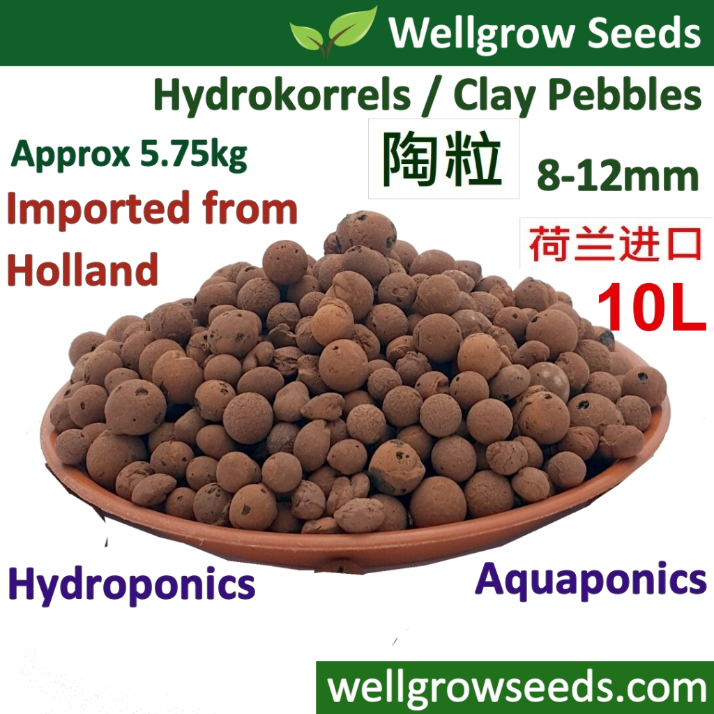 10L Hydrokorrels Leca Balls (8-12mm) 荷兰陶粒 Holland Clay Pebbles ...