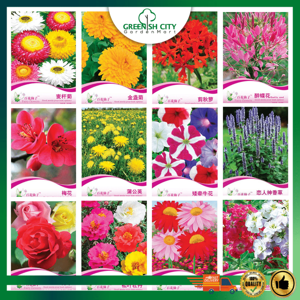 GNC Various Flower Seeds For Home Gardening Flower Seed Pelbagai Jenis ...
