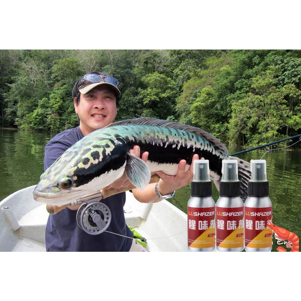 pancing Air Tawar, Laut , Kolam Umpan Perisa Tambahan Pancing Katak ...