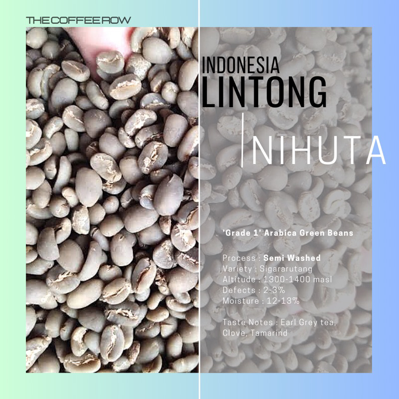 SUMATRA LINTONG G1 | NIHUTA | (SEMI WASHED) | ARABICA GREEN BEANS ...