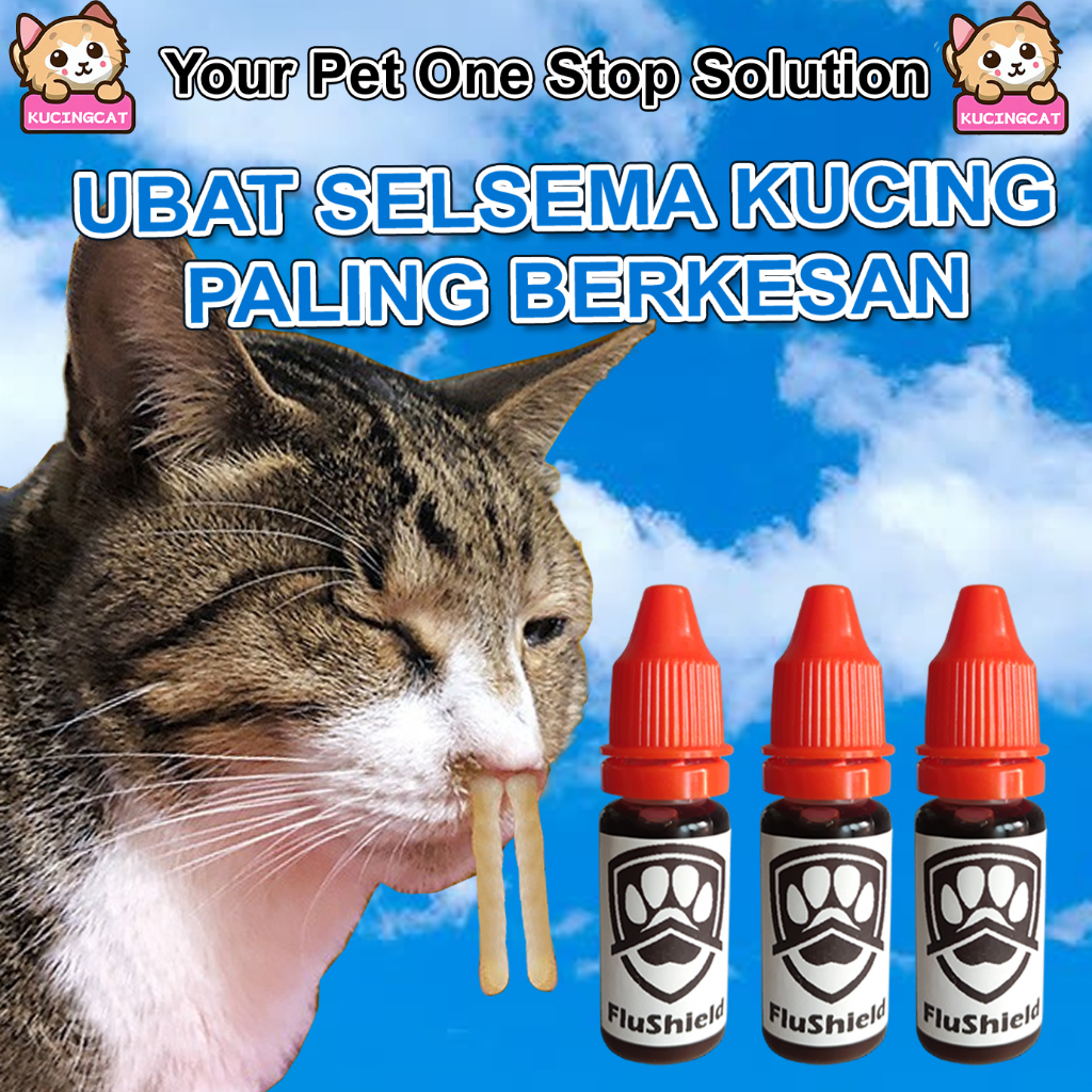 FLUSHIELD Ubat Selsema dan Batuk Kucing Bersin Selesema Paling Berkesan ...