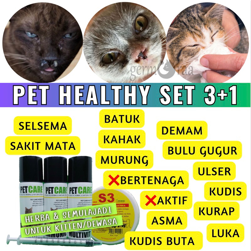 SET Kucing Batuk Selsema Demam Murung Kurang Aktif Ubat Kurap Kudis ...