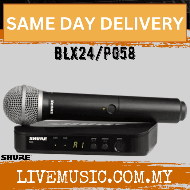 Shure BLX24/PG58 Wireless Handheld Microphone System withLPC-S Hard Case ( BLX4 BLX2 BLX24-PG58 ...
