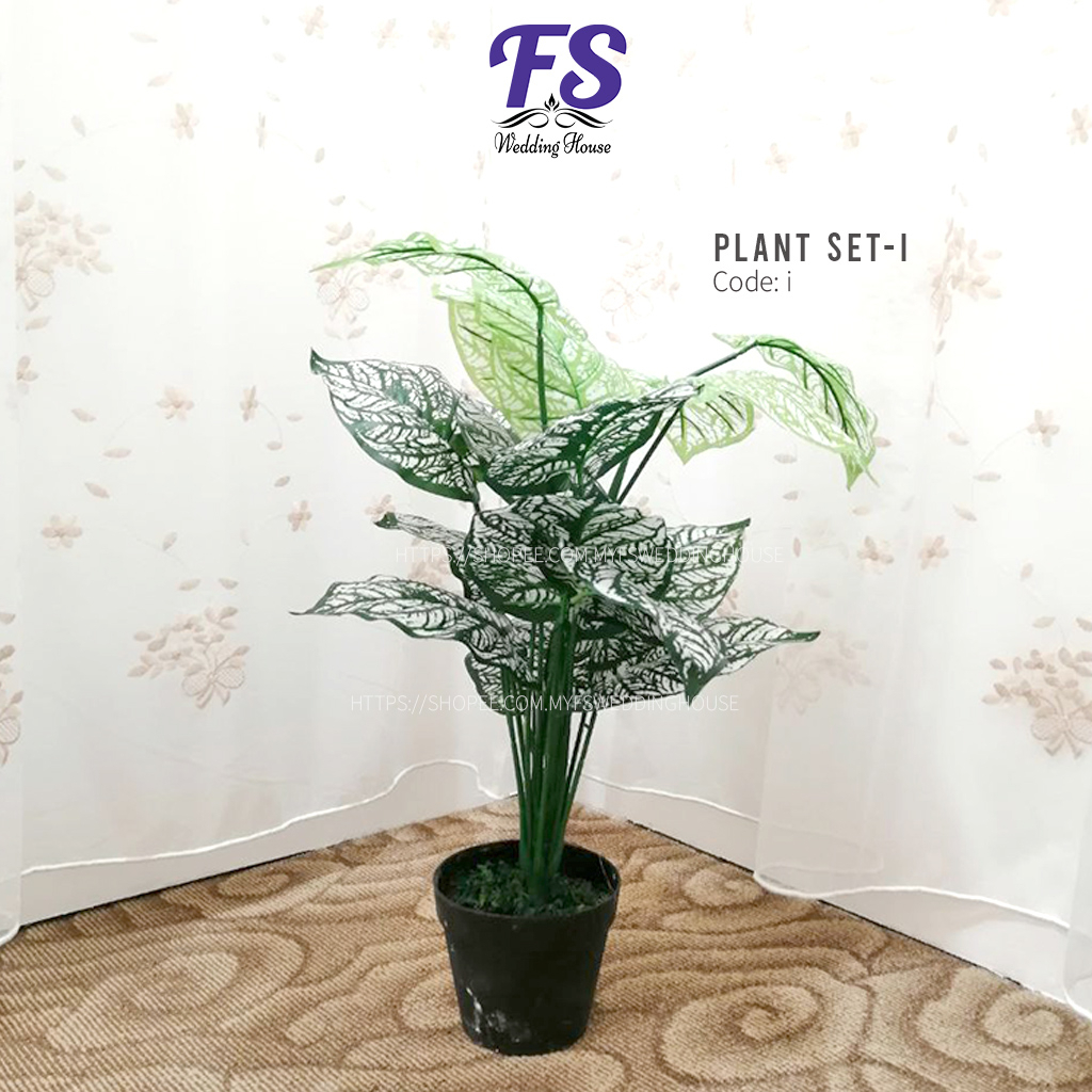 RAYA SALES / ARTIFICIAL PLANT / PELBAGAI JENIS POKOK VIRAL / HOT POKOK ...