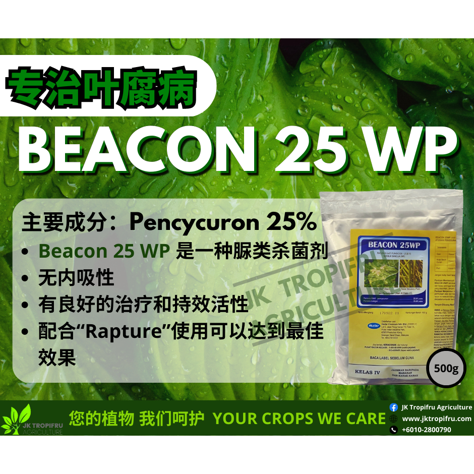 Beacon 25 WP （500G) Pencycuron 25% Racun Kulat Durian Hawar Daun ...