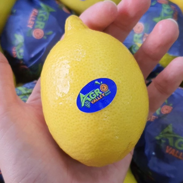 South Africa Lemon Big (1PCS) | Shopee Malaysia