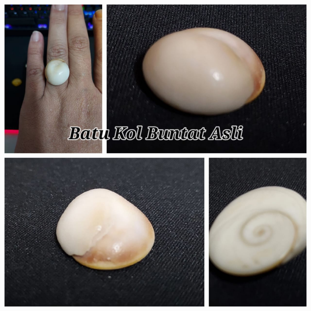 𝐁𝐚𝐭𝐮 𝐊𝐨𝐥 𝐁𝐮𝐧𝐭𝐚𝐭 𝐀𝐬𝐥𝐢 | Shopee Malaysia