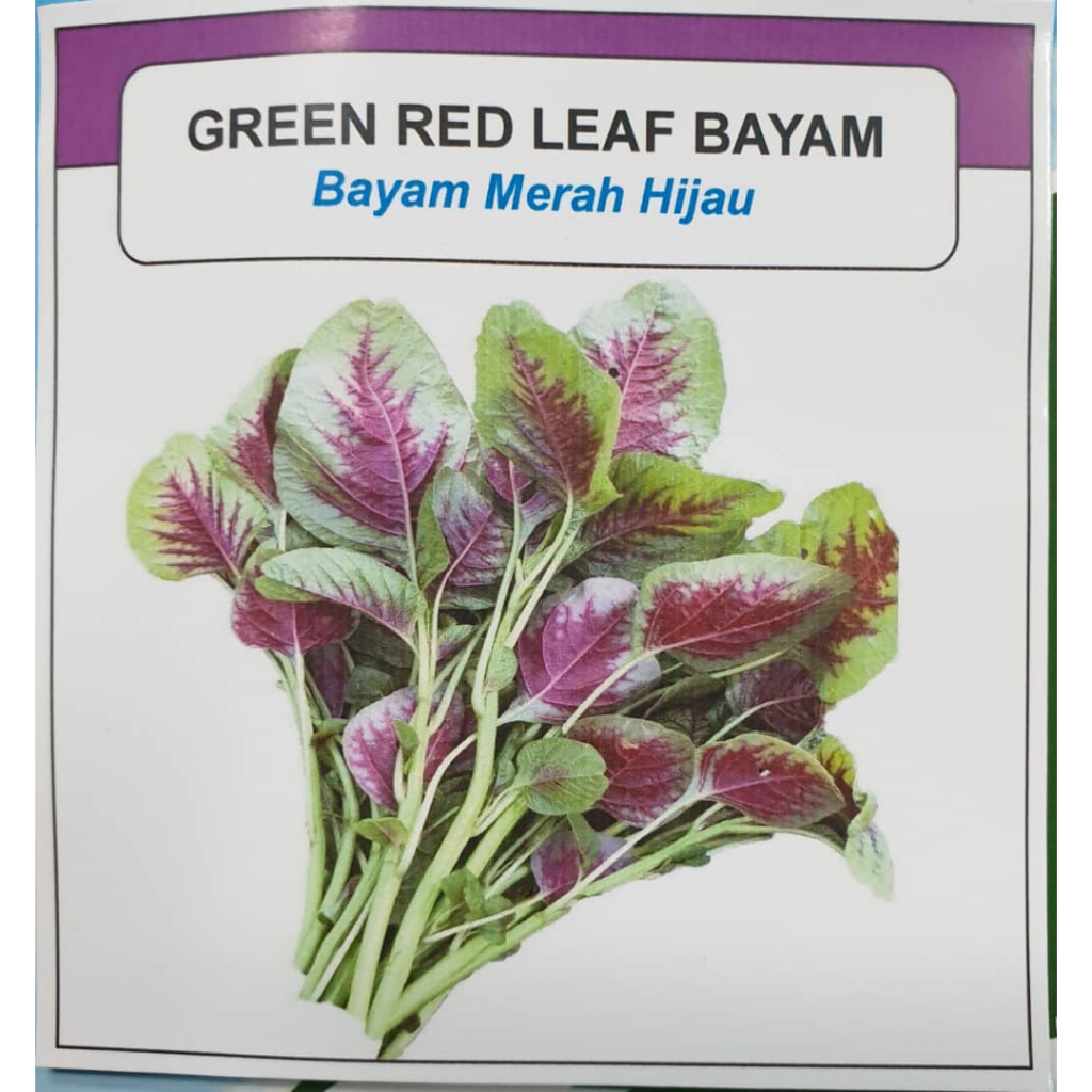 BENIH BAYAM MERAH HIJAU (5 GRAM atau Lebih kurang 9,000 Biji) | Shopee ...