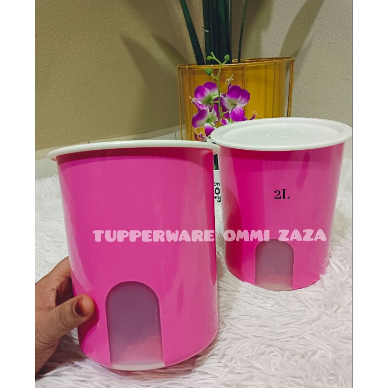 💥SALE💥TUPPERWARE WINDOW CANISTER (1pcs) | Shopee Malaysia