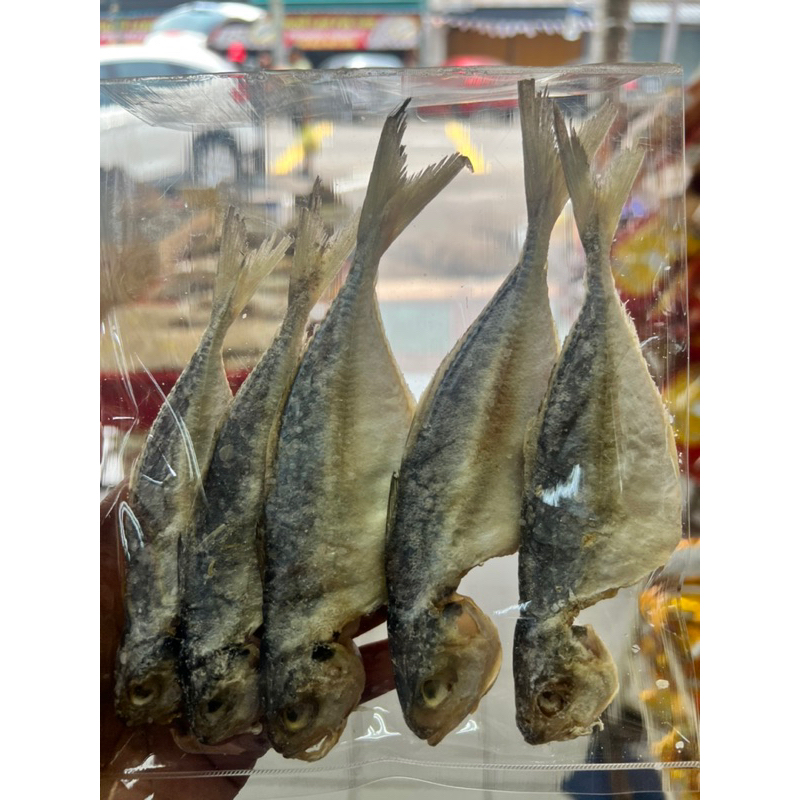 Ikan masin/Ikan masin Pelata | Shopee Malaysia