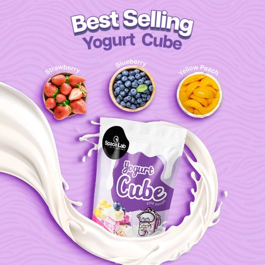 Space Lab 冻干乳酪块 26g Freeze Dried Blueberry Strawberry Mango Yogurt Cube ...
