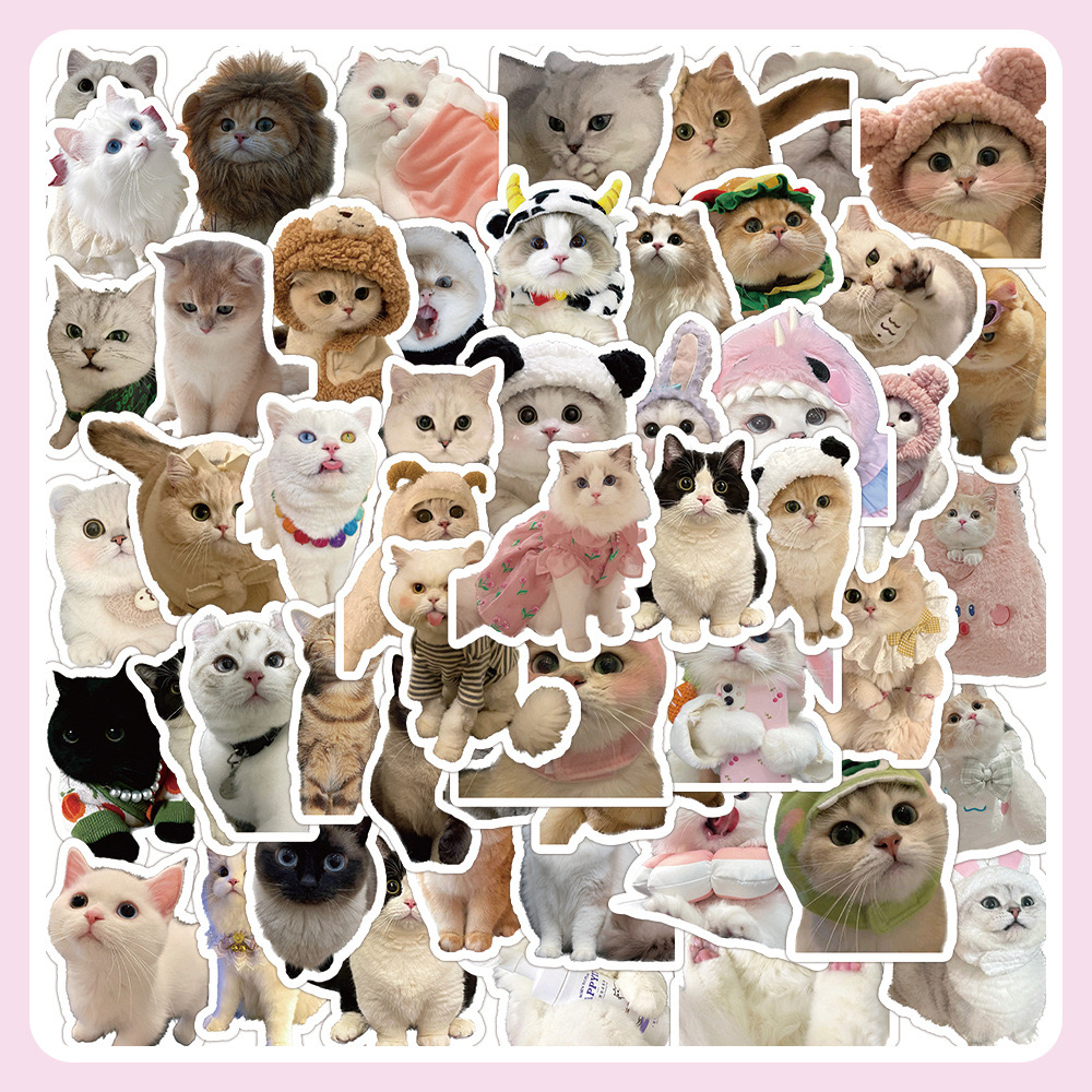 【🇲🇾READY STOCK】 100pcs Cat Sticker Pelekat Kucing Funny Cute sticker ...