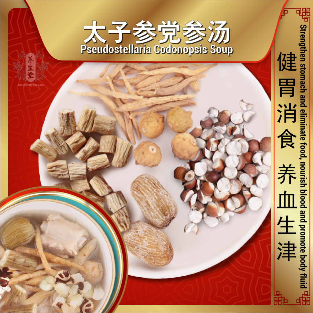 Pseudostellaria Codonopsis Soup Nourish Health Herbal Soup Pack 太子参党参汤 健胃消食养血生津 滋补药材汤料包药材包炖汤煲汤补品 ...