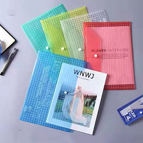 A4 Transparent File Folder Clear Paper File Folder 5 colors | Shopee Malaysia