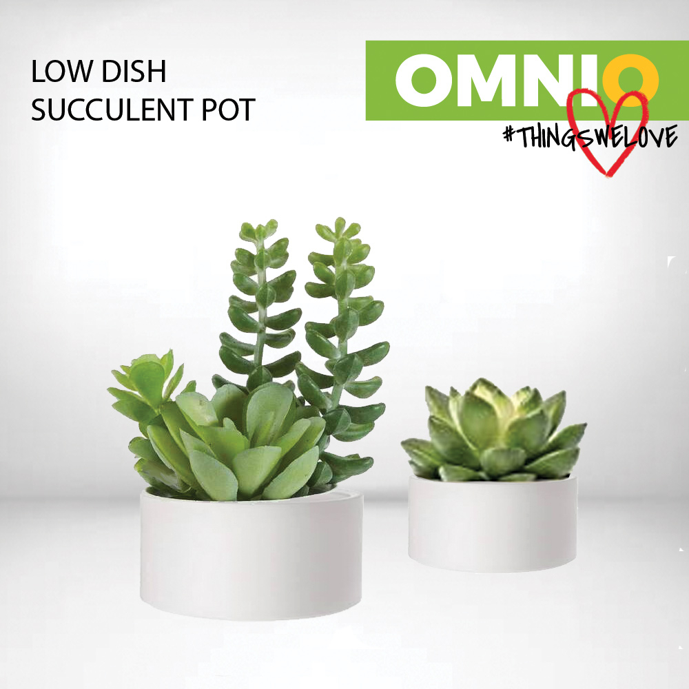 Nordic Mini Square Succulent Ceramic Flower Pot / Cactus Pot / 小花盆 ...