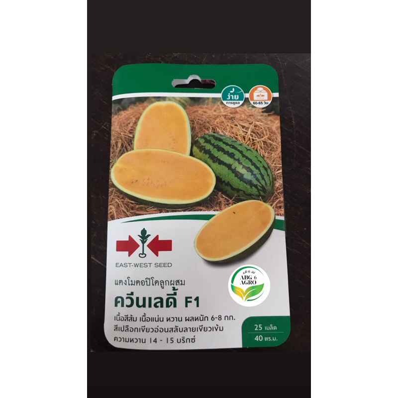 Biji Benih Tembikai Madu TORPICO Hibrid / Tembikai Queen F1 / Tembikai ...