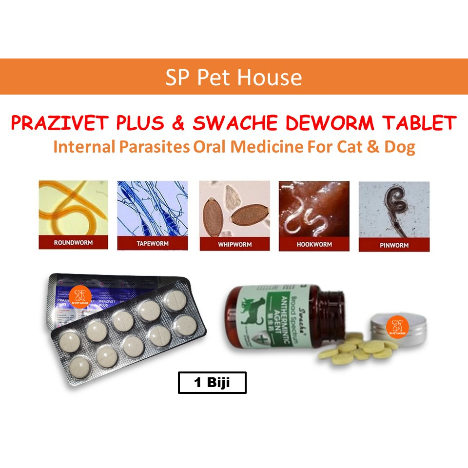 Prazivet Plus & Swache Anthermintic Agent Ubat Cacing Kucing & Anjing ...