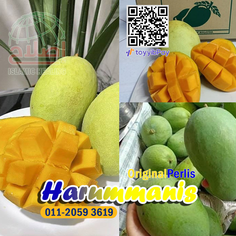 Harum Manis Original Perlis 3kg | Shopee Malaysia