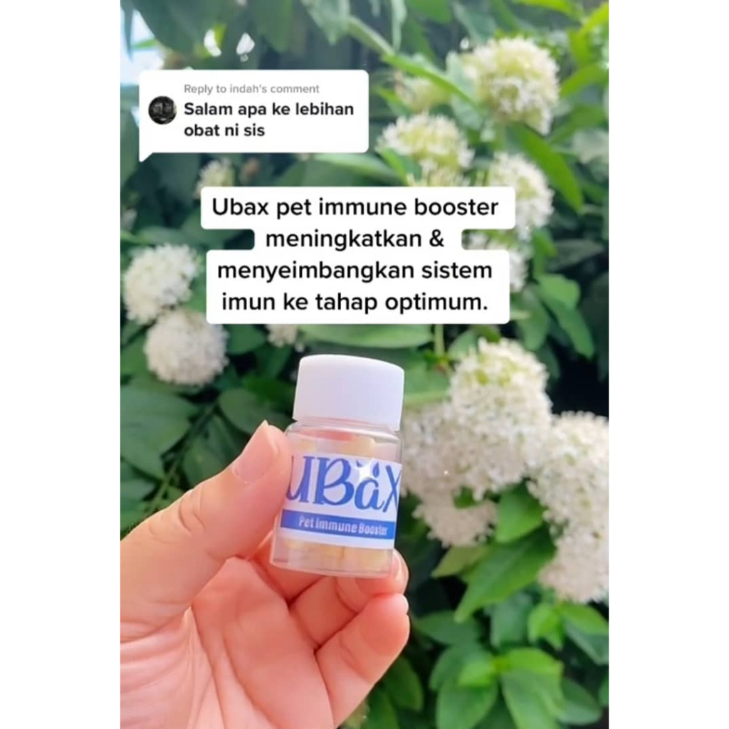 Ubax Pet Immune Booster Kucing Original HQ (6 biji) Kapsul kucing Demam ...
