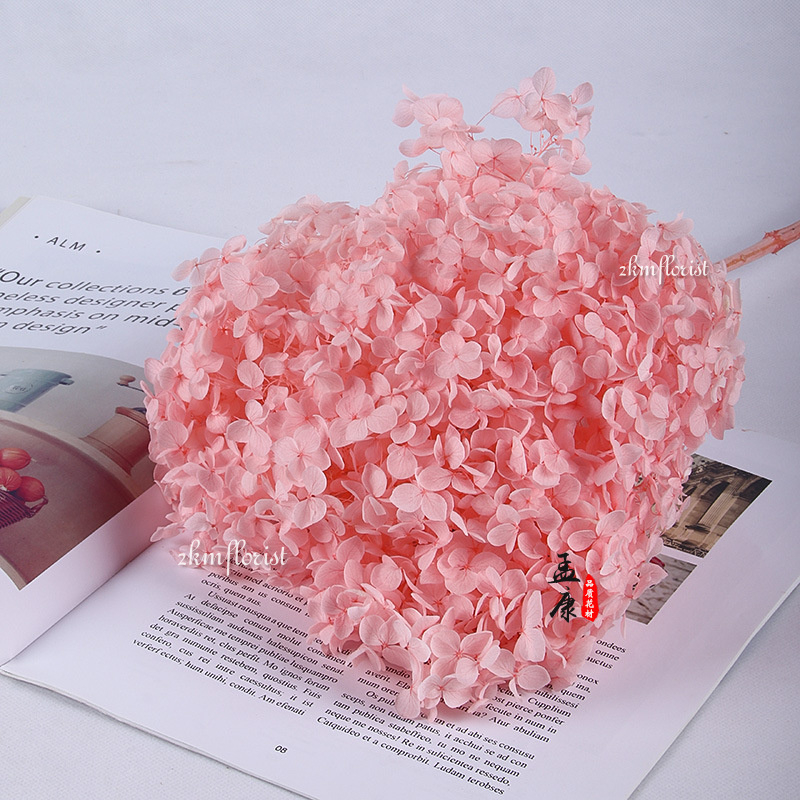 PRESERVED HYDRANGEA flower real natural DIY Surprise Gift decor Bunga ...