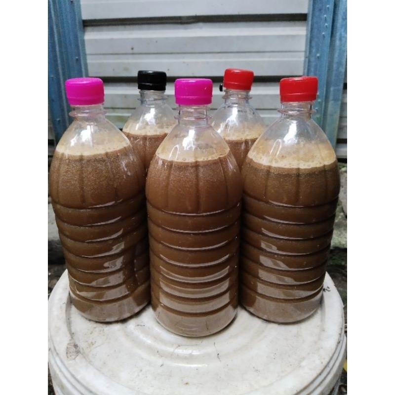 BAJA IKAN / FISH AMINO ACIDS (FAA) 1LITER UNTUK PERTANIAN CECAIR BAJA ...