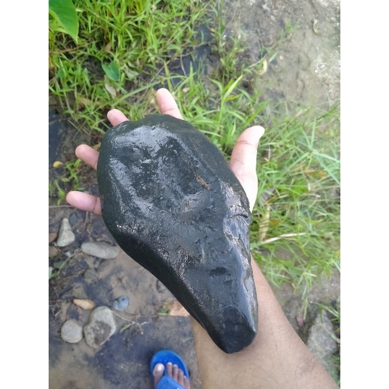 batu gigi petir besar berat hampir 2kg | Shopee Malaysia