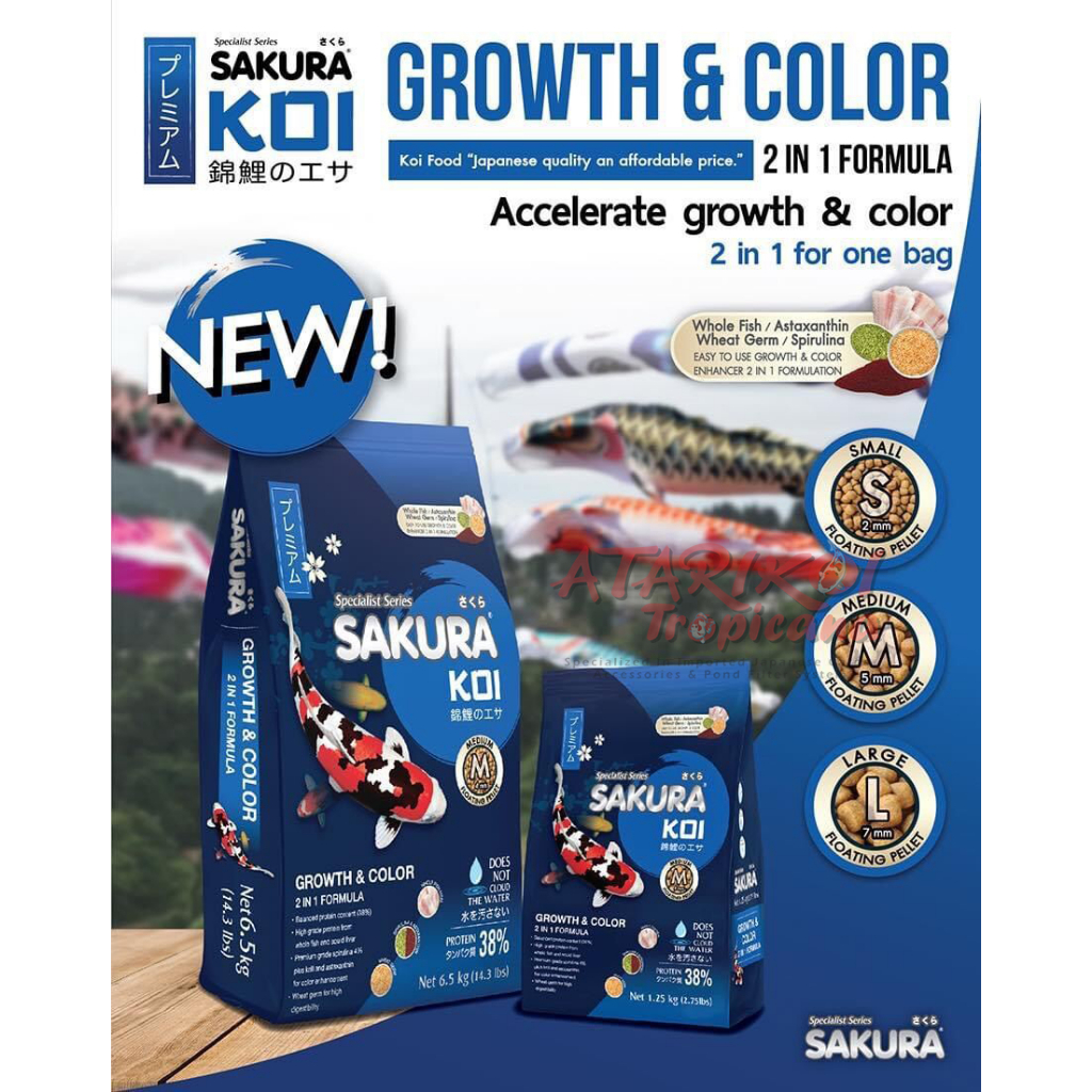 Sakura Fish Food - Growth and Color (Floating) | Shopee Malaysia