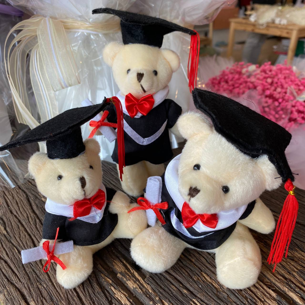 SHIOK 8/10/13cm Graduation Convo Bear Holding Certificate | Beruang ...