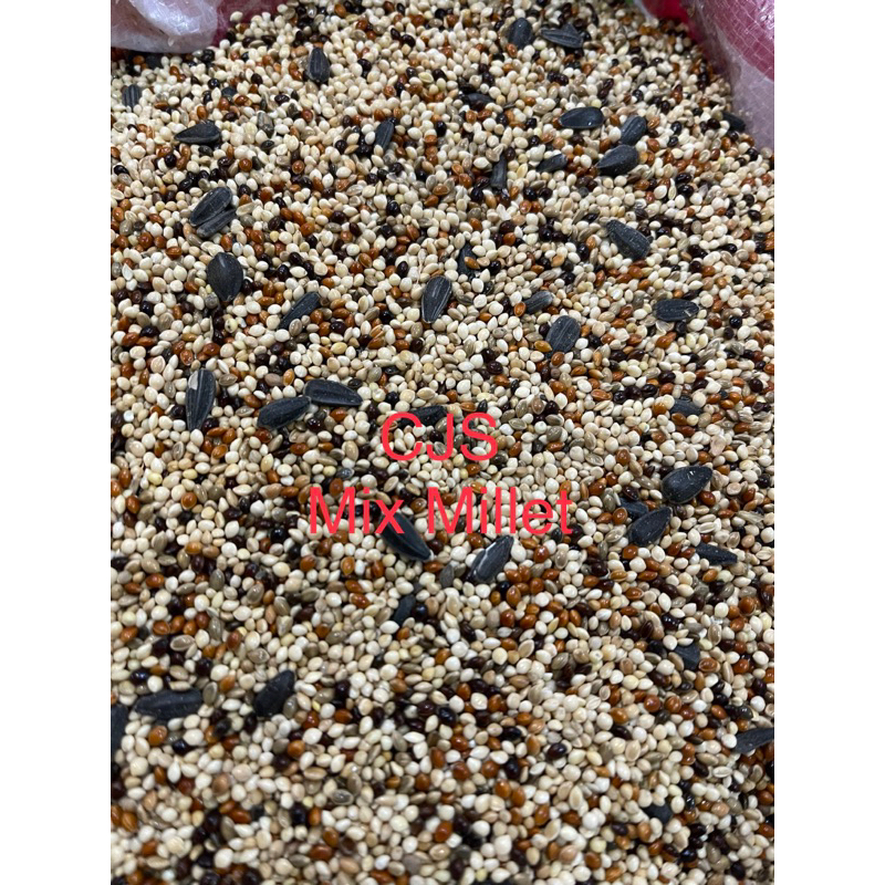 Mixed Millet with Sunflower Seed 混色黍子与瓜子 Sambau Campur dengan Kuaci ...