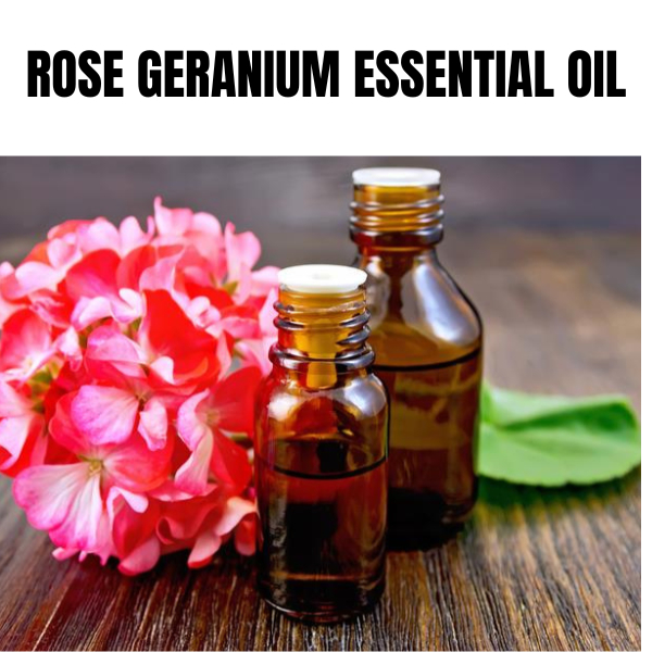 Rose Geranium Essential Oil (10ml) | Shopee Malaysia