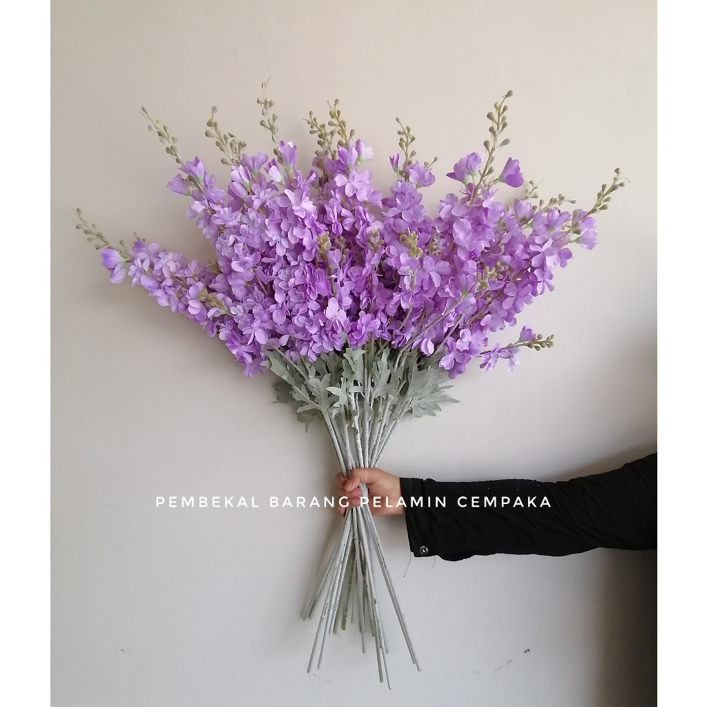 Bunga Harum Sundal Malam Bunga Jagung Hiasan Pelamin Matthiola Flower ...