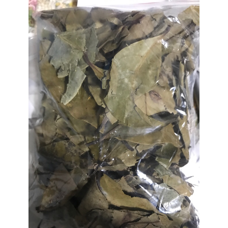 dried Indonesian bay leaf/powder serbuk/daun salam Bay laurel (Syzygium ...