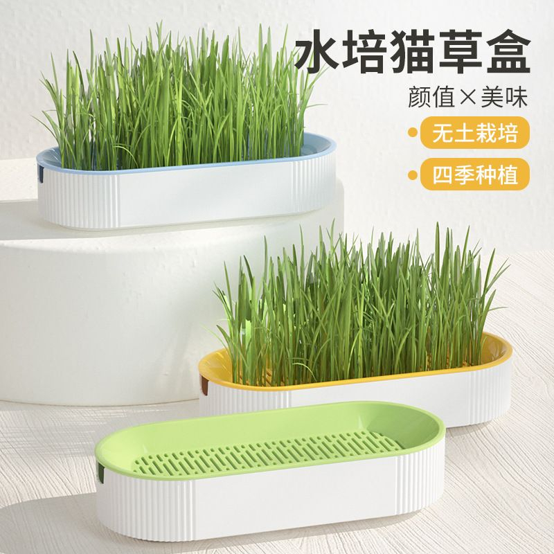 PET Cat Organic Wheatgrass Seed Biji Benih Rumput Kucing healthy ...