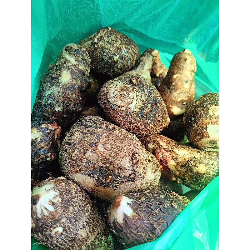 Ubi keladi Telur / bongolon/ Keladi Sarawak/setawi | Shopee Malaysia