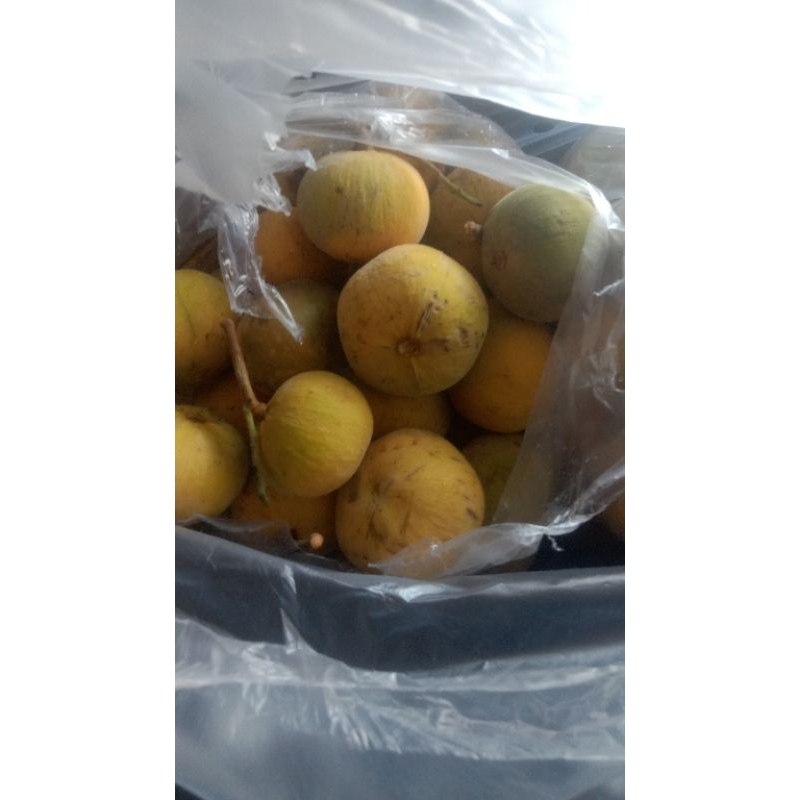 buah Sentul dari kelantan | Shopee Malaysia