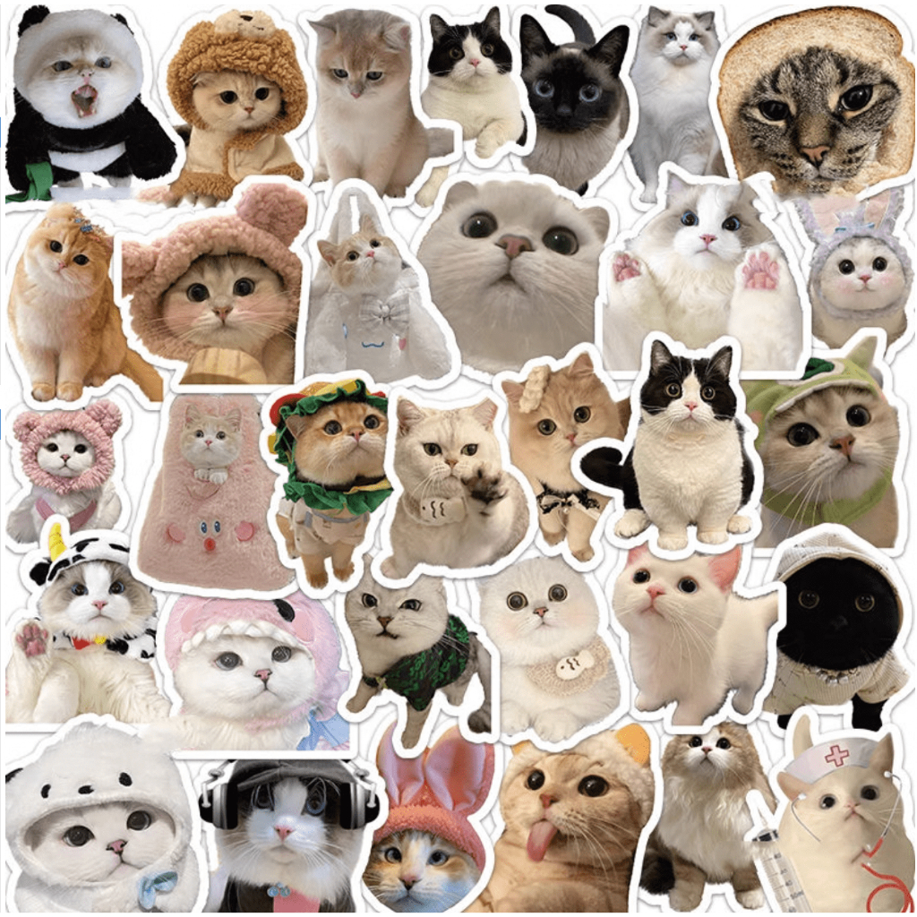 Cute Cat Kitty Kitten Meme Stickers Suitable for Planner Bullet Journal ...