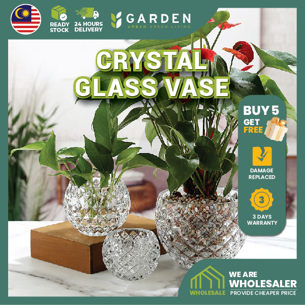 Crystal Glass Hydroponic Transparent Vase Plant Round Tabletop Flower ...