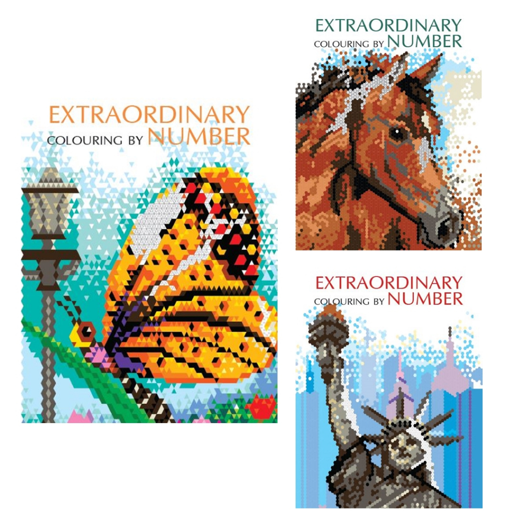 Extraordinary Colouring by Number (Colouring Books for Adult / Leisure ...