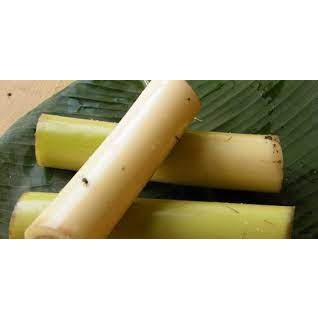 Umbut Batang Pisang (500g - 2 kg) | Shopee Malaysia