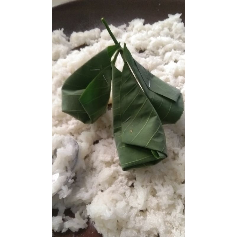 Tapai Pulut Daun Getah RM40 untuk sekilo beras pulut | Shopee Malaysia