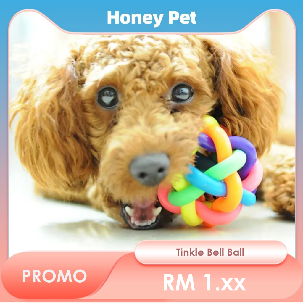 Pet Tinkle Bell Ball Cat Toy Soft Hallow Chasing Ring Ball | Shopee ...
