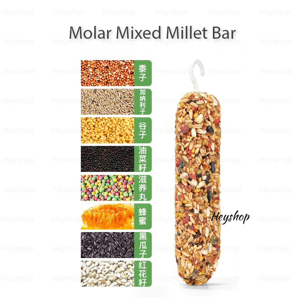 Parrot Energy Bar - Bird Hanging Molar Snack Millet Fruit & Veggie ...