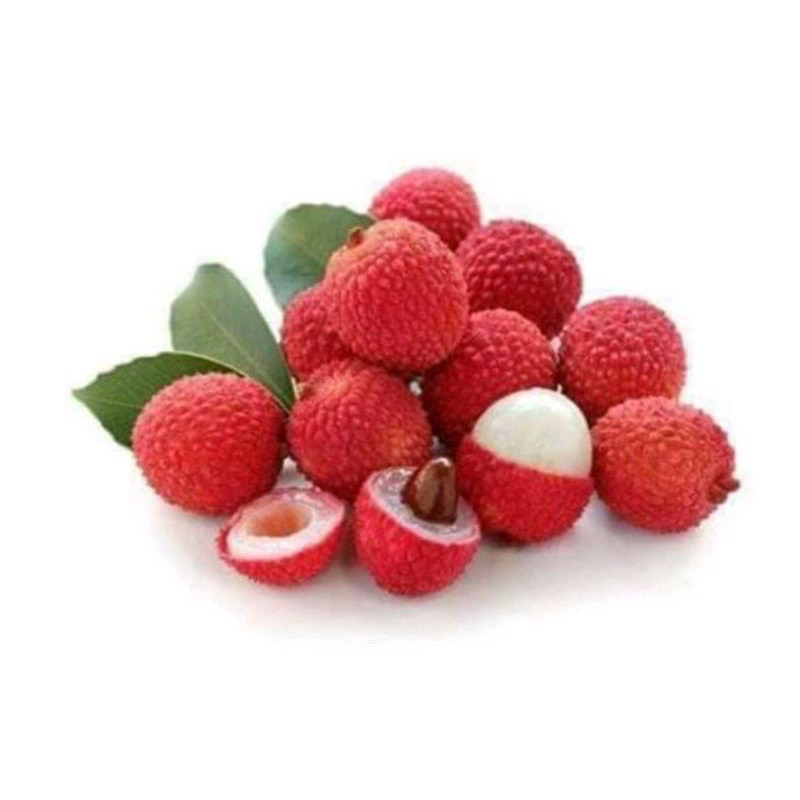 POKOK Laici Hybrid renek&buah manis, sweet dwarf lychee plant can be ...