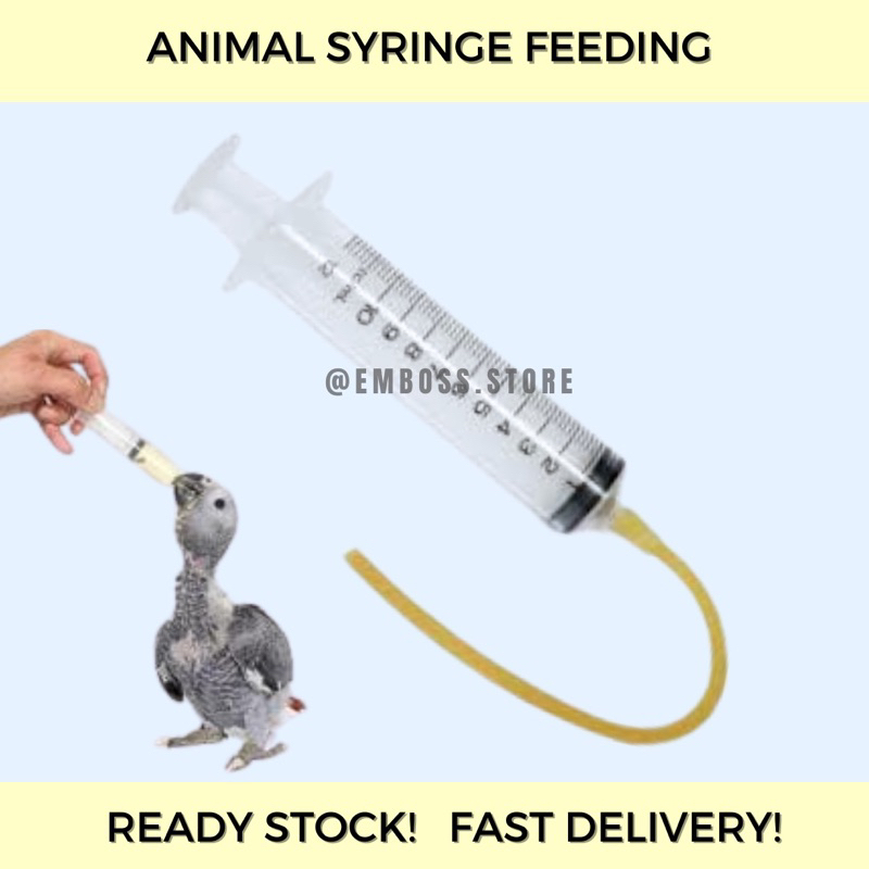 🎁FREE CABLE TIE🎁 Animal Syringe Feeding Bird Syringe Syring Burung ...