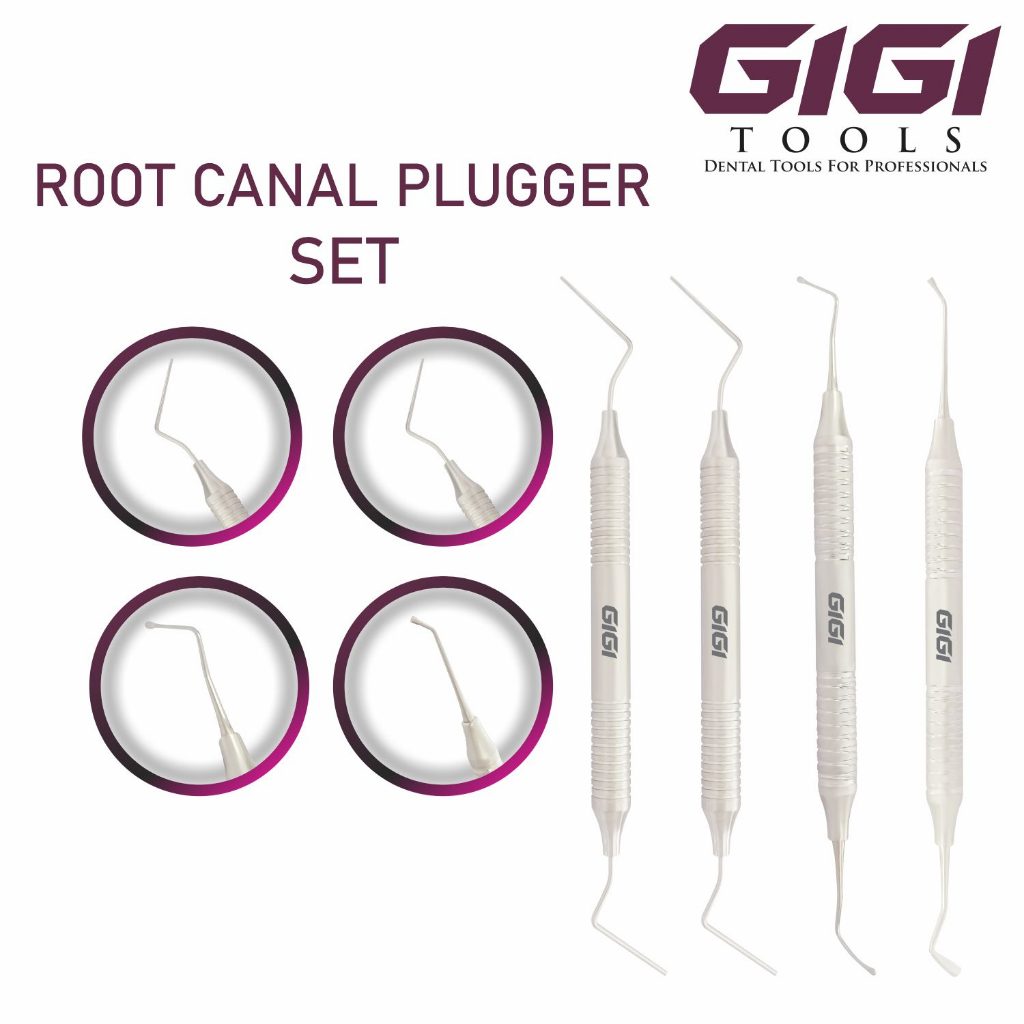 GIGI Tools Dental Root Canal Plugger Set Of 4 Pieces Double Ended Hand ...